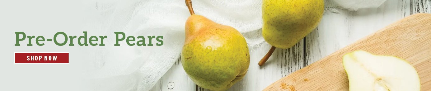 Fruit Gifts | Fresh Fruit Gifts