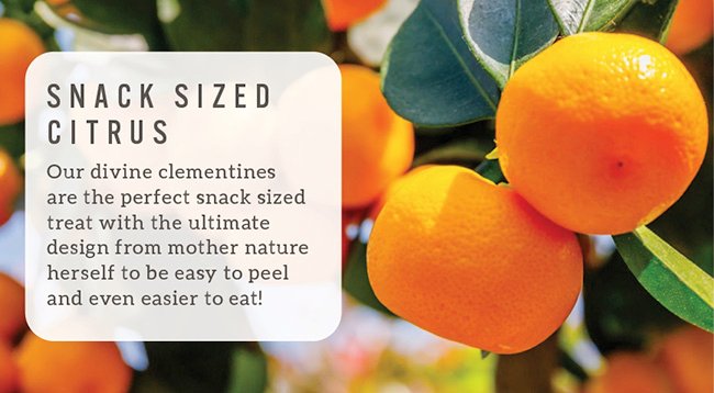 Clementines | Pittman & Davis