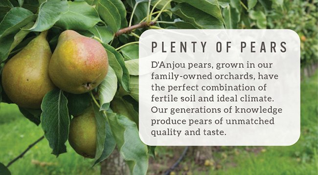 D'Anjou Pears