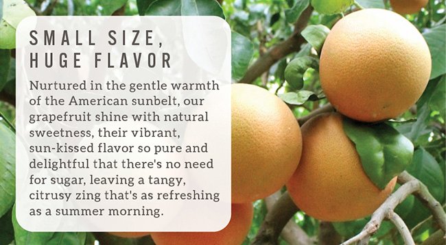 Grapefruit Size