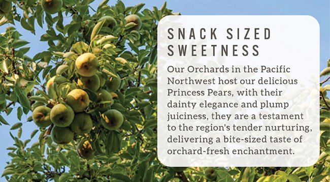 Lil' Princess Pears - Baby Comice, Perfect for snacking | Pittman & Davis
