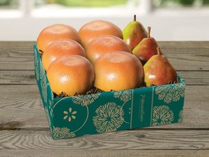 Pears | Pittman & Davis