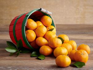 Fruit Gifts | Fresh Fruit Gifts