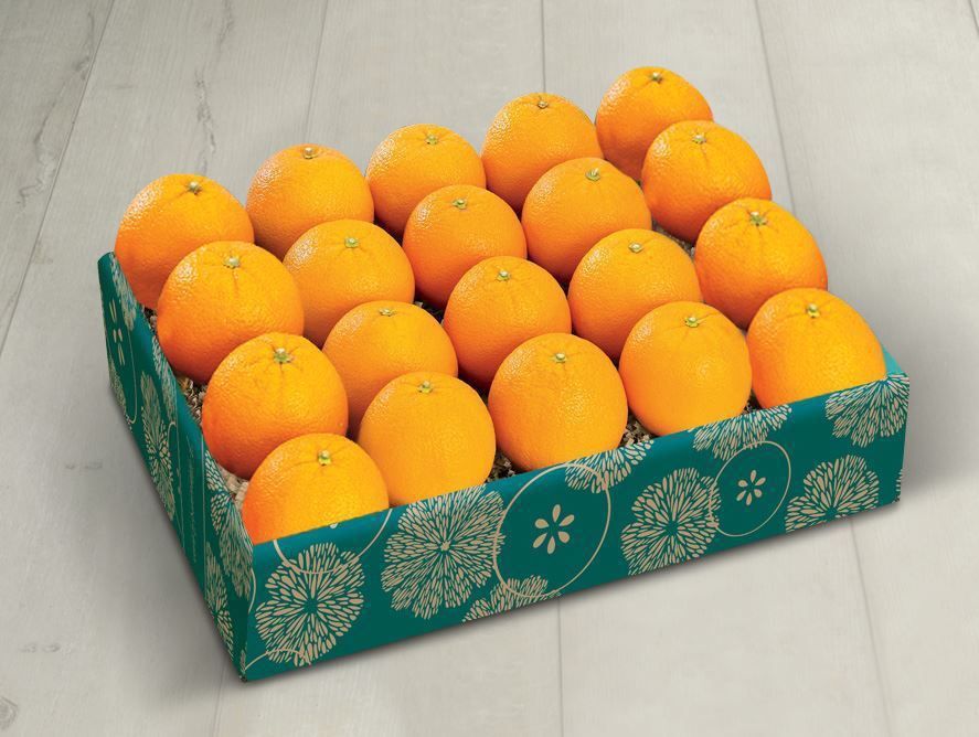 Dozen Carton of Navel Oranges | Pittman & Davis