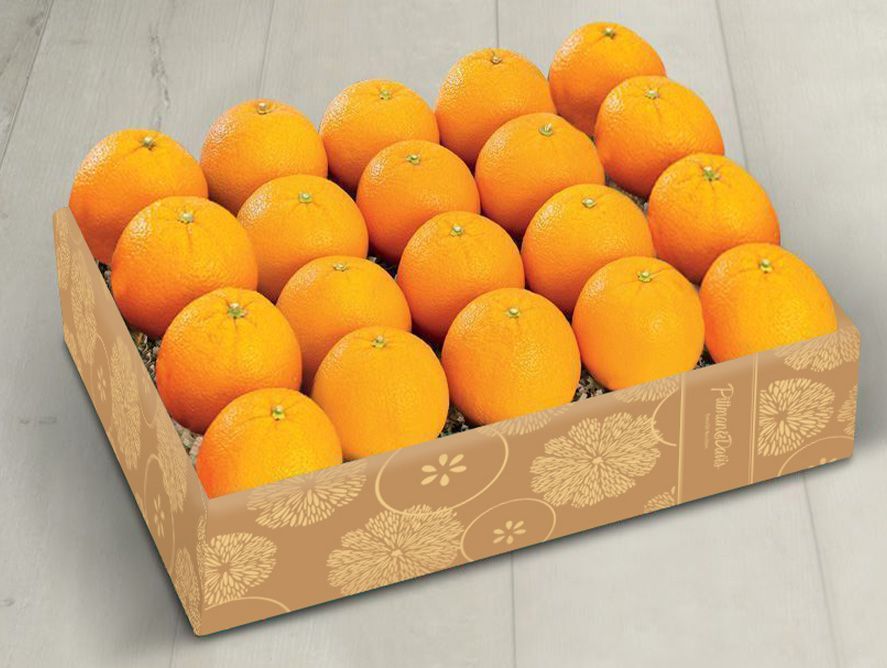 Navel Oranges