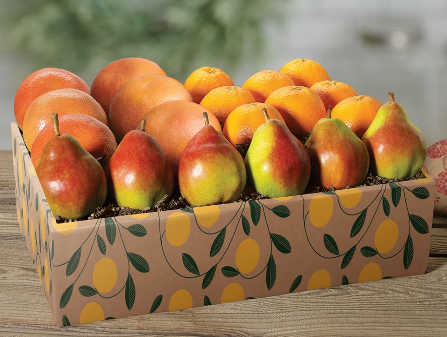 Citrus Gift Boxes and King Comice Pears | Pittman & Davis