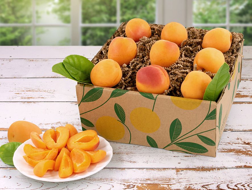 Farm-Fresh Apricots