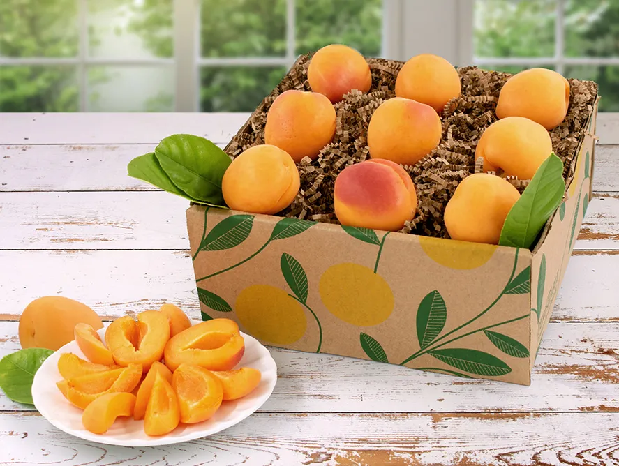 Farm-Fresh Apricots