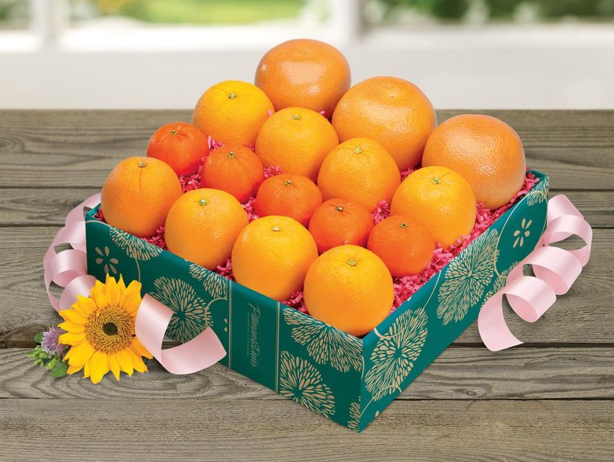 4 Variety Spring Pack