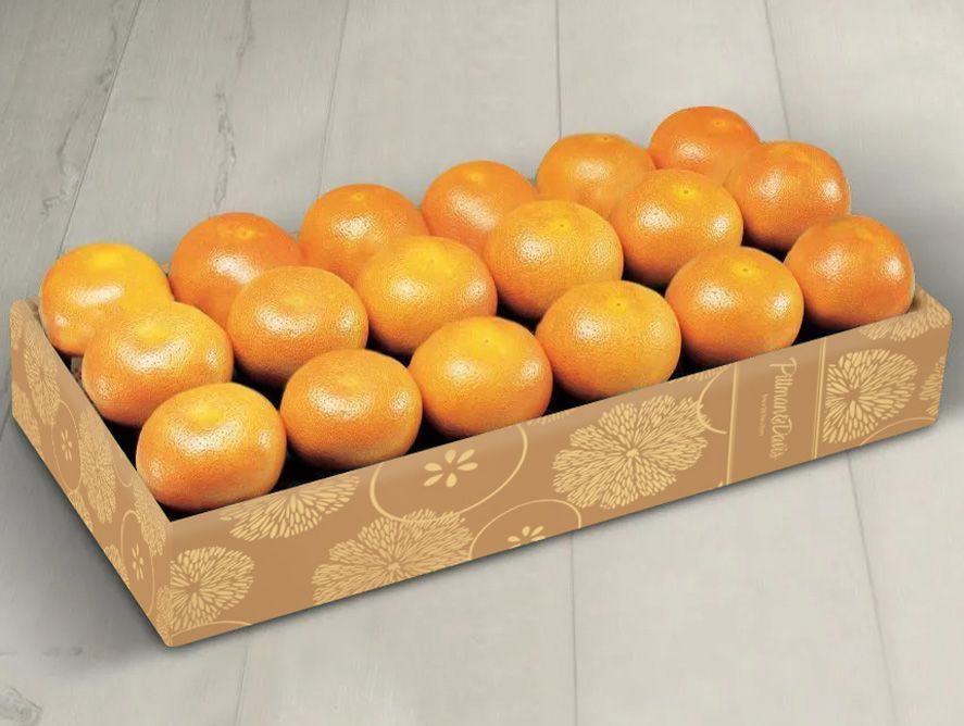 Citrus Supply half Bushel Grapefruit